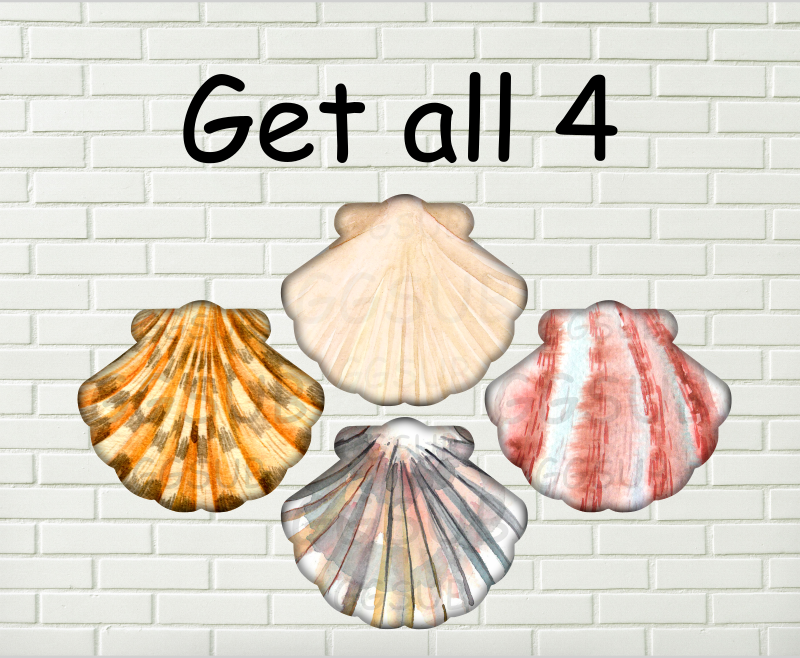 Digital design - Scallop shell bundle of 4 – GGSublimation